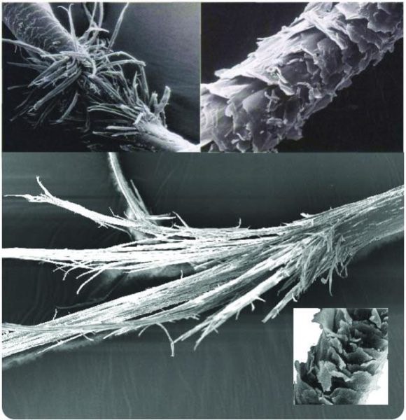 The Importance of Trimming Hair. | Blog | VIANGE HAIR