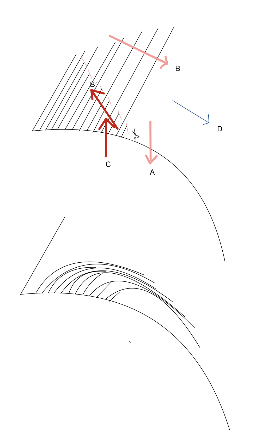 Vol.24 Tailored Hair by Aki – Haircut : Texture Theory Edition ...